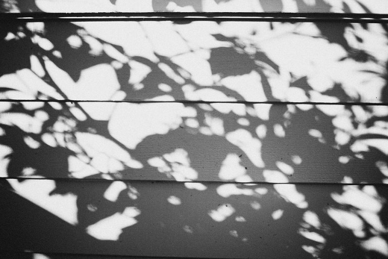 What Shadow Looks Like » simply-splendid.com